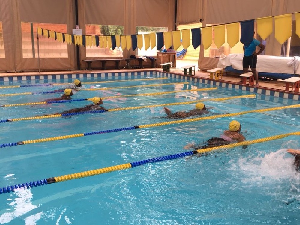 Accelerated Adult Learn To Swim Course